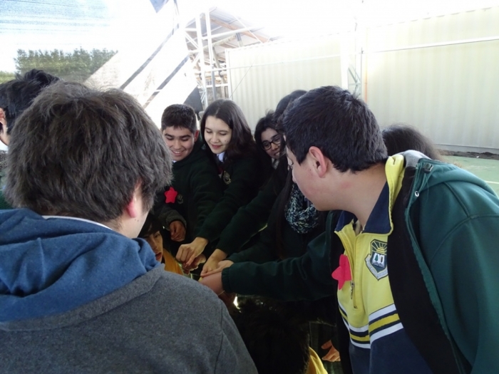 Noticias : Colegio Cholguan
