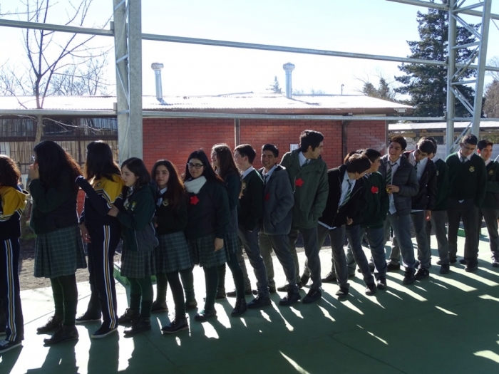 Noticias : Colegio Cholguan